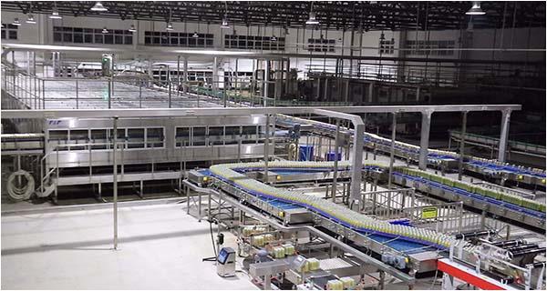 Энергичные усилия, новаторские инновации - F &P Packaging успешно ...